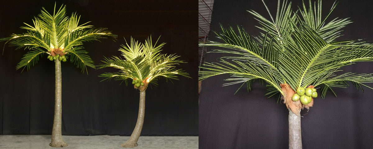 LED Coconut Palm Trees for Sale at Magic of Leds