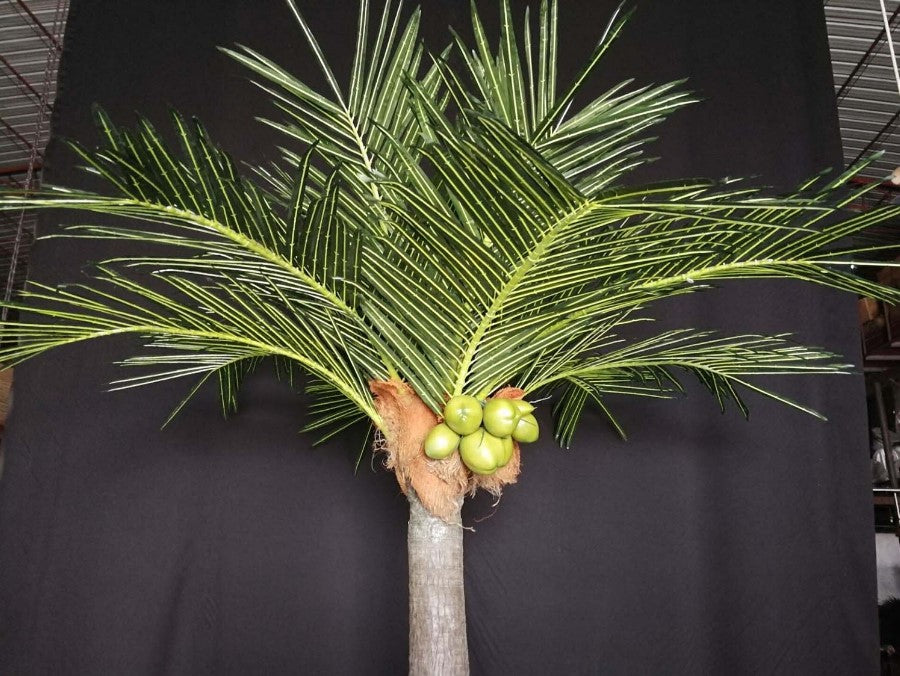 LED Coconut Tree 3.0m/10.0 ft - Buy Online | Magic of Leds